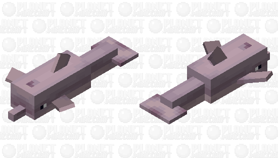 Pink River Dolphin Minecraft Mob Skin