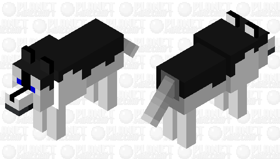 Husky!!! Minecraft Mob Skin