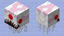 Vampire Evoker Minecraft Mob Skin