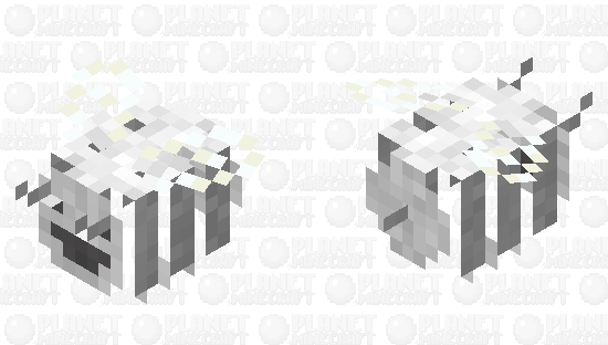 skeleton Minecraft Mob Skin