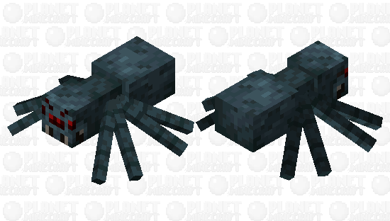 Wither Spider Minecraft Mob Skin