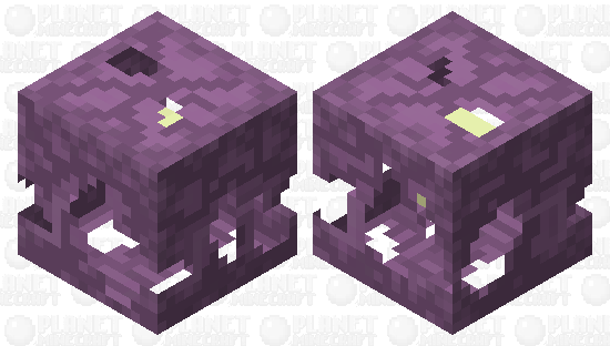 shulker broken shell Minecraft Mob Skin