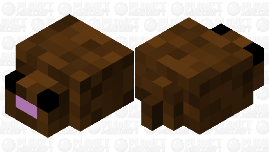 wombat Minecraft Mob Skin