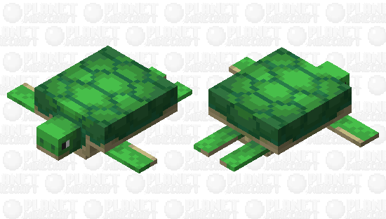 Turtle Bigger Eyes Minecraft Mob Skin