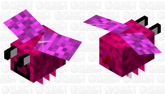 the eyes Minecraft Mob Skin