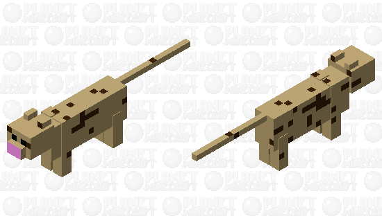 rusty spotted cat Minecraft Mob Skin