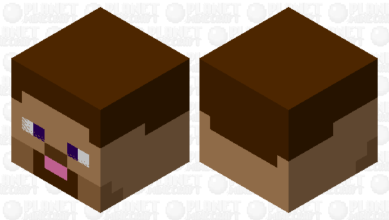 Sheeve Minecraft Mob Skin