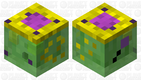 Dark Magic Slime Minecraft Mob Skin