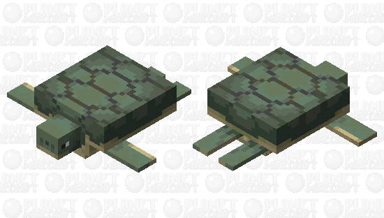 More realistic sea turtle (of the loggerhead type) Minecraft Mob Skin