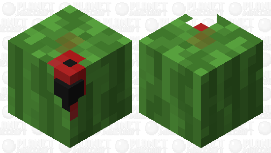 Melon Slime Minecraft Mob Skin