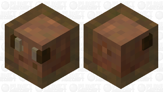 Muddy Pig Slime Minecraft Mob Skin