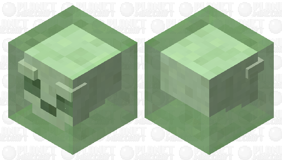Skeleton Slime Minecraft Mob Skin