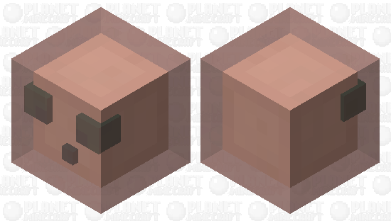 flesh slime Minecraft Mob Skin