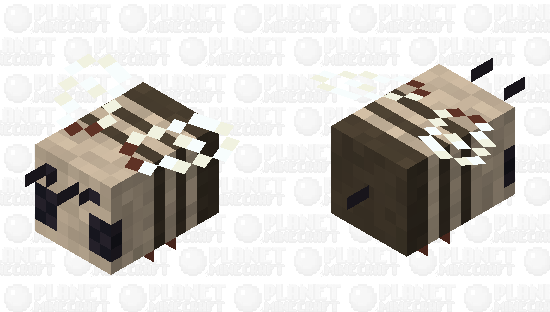Skeleton Bee Minecraft Mob Skin