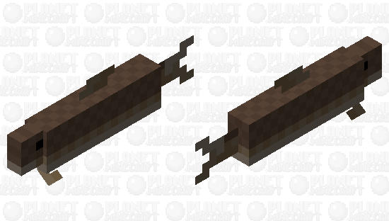 Cod Salmon Minecraft Mob Skin