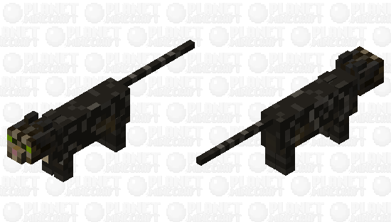 Rocket the Cat. Minecraft Mob Skin