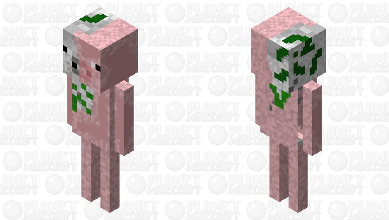 A Skeleton Possesed By A Zombie Pigman Spirit Minecraft Mob Skin