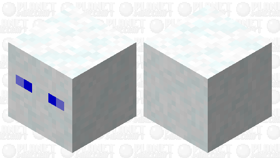 ICE CUBE Minecraft Mob Skin