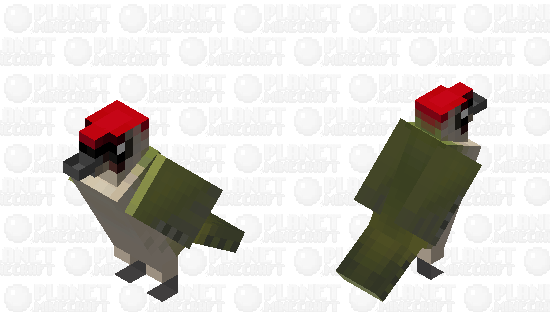Pica-pau-verde (Picus viridis) Minecraft Mob Skin