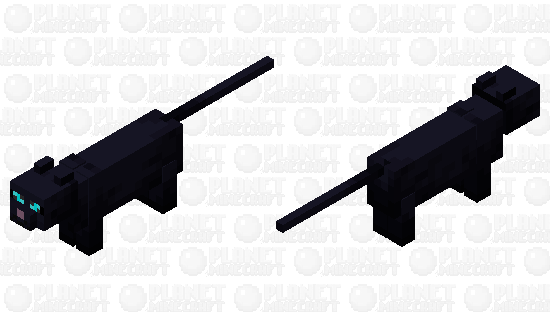 cat negro Minecraft Mob Skin
