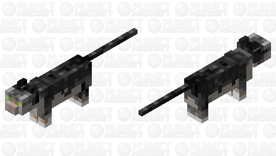 Shadow Minecraft Mob Skin