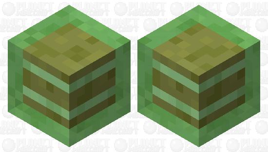 TNT Slime Minecraft Mob Skin