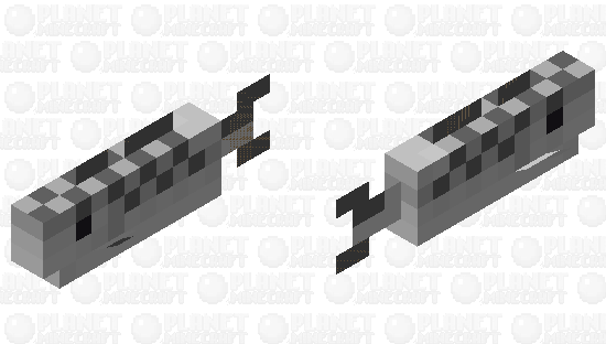 Catfish Minecraft Mob Skin