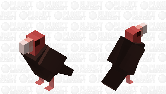 Turkey Vulture Minecraft Mob Skin