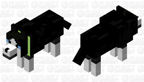 blue eye Siberian husky Minecraft Mob Skin