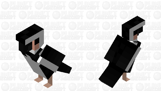 Magellanic Penguin Minecraft Mob Skin