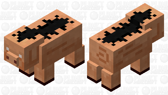 wild pig(pig/variant) Minecraft Mob Skin