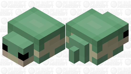 Squirt The Lil' Turtle :=-_ Minecraft Mob Skin