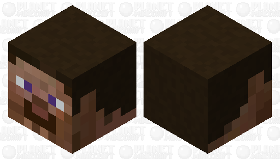 steve slime Minecraft Mob Skin