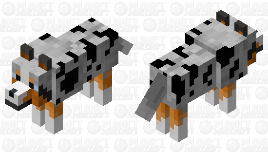 Australian Shepherd Minecraft Mob Skin