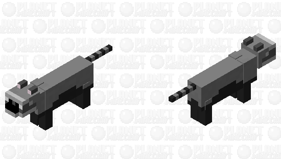 Racoon Minecraft Mob Skin