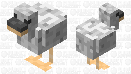 Splash Cochin chick Minecraft Mob Skin