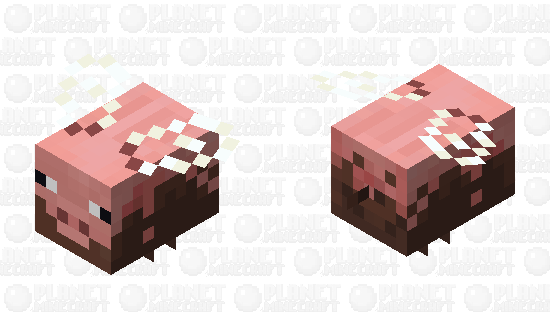 Muddy Peeg - Pig Bee pollinated variant Minecraft Mob Skin
