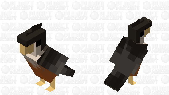 Robin Minecraft Mob Skin