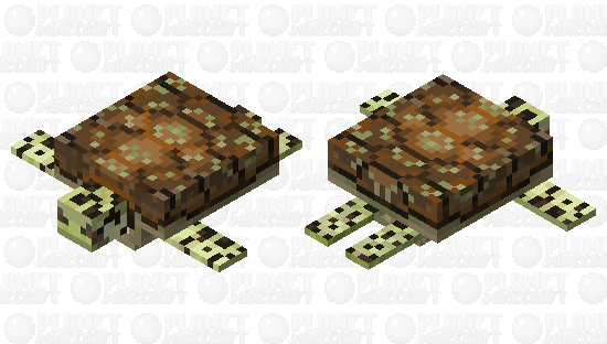 Accurate Green Sea Turtle Minecraft Mob Skin