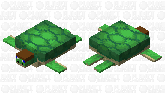 Peter the turtle Minecraft Mob Skin