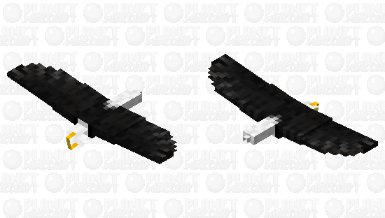 White Head Eagle Minecraft Mob Skin