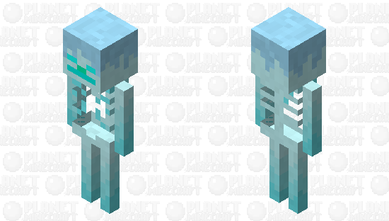 Frosted Skeleton Minecraft Mob Skin