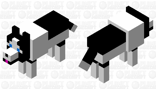 Jacky Border Collie Wolf Skin Minecraft Mob Skin