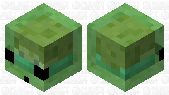 steve inside slime Minecraft Mob Skin