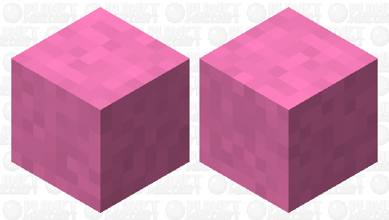 Brain. Minecraft Mob Skin
