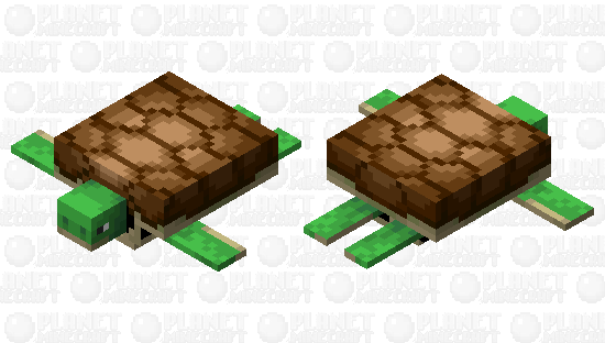 Tortoise with brown shell Minecraft Mob Skin