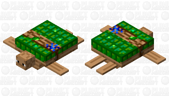 Turtle different texture Minecraft Mob Skin