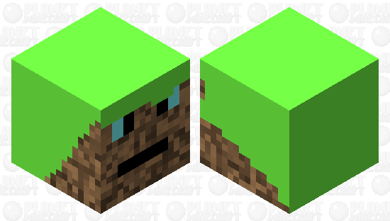 head Minecraft Mob Skin