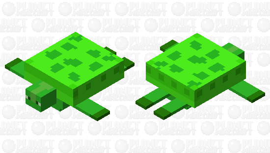 Splashed Shelled Turtle Minecraft Mob Skin
