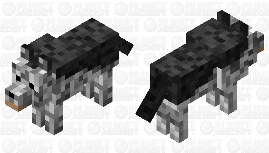 HUSKY Minecraft Mob Skin
